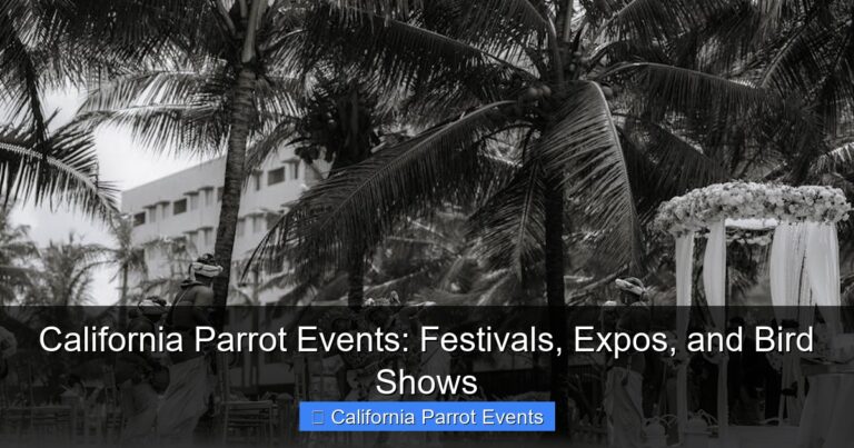 California Parrot Events: Festivals, Expos, and Bird Shows ...