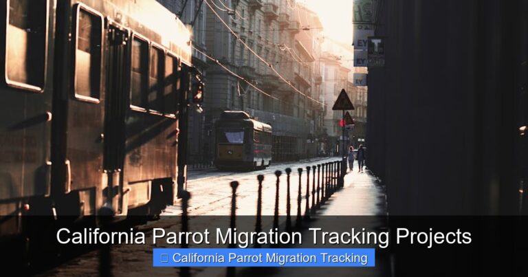 California Parrot Migration Tracking Projects - californiaflocks.org