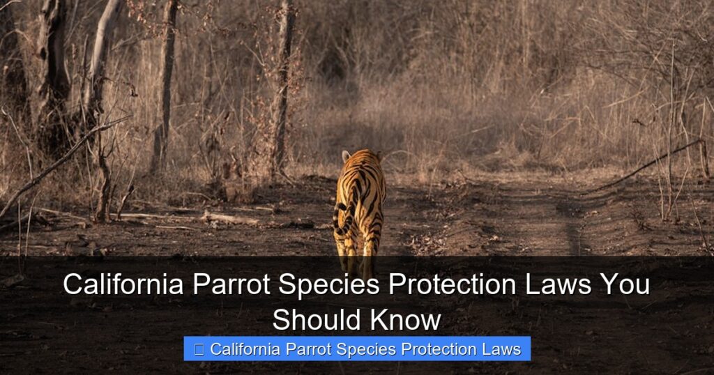 California Parrot Species Protection Laws You Should Know ...