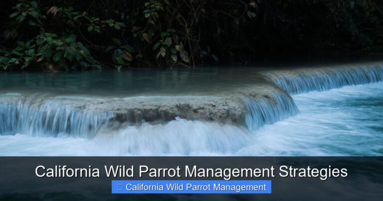 California Wild Parrot Management Strategies - californiaflocks.org
