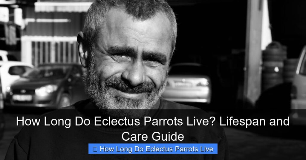 How Long Do Eclectus Parrots Live? Lifespan and Care Guide ...