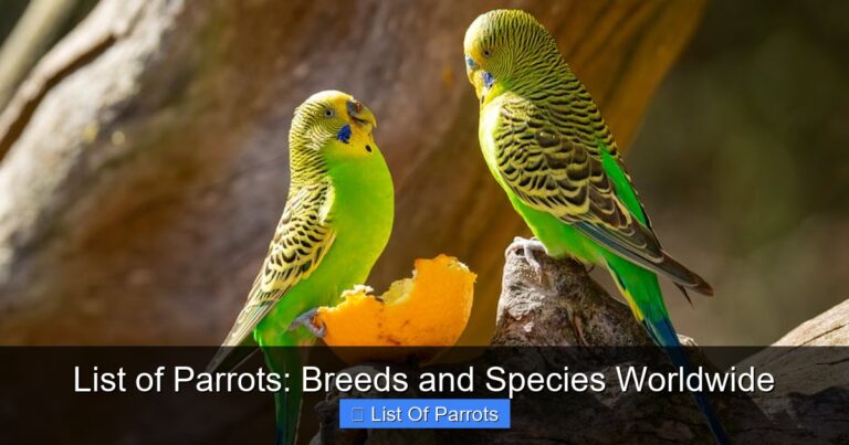 List of Parrots: Breeds and Species Worldwide - californiaflocks.org