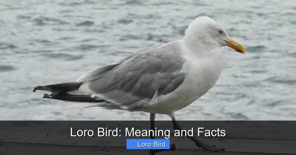 Loro Bird: Meaning and Facts - californiaflocks.org