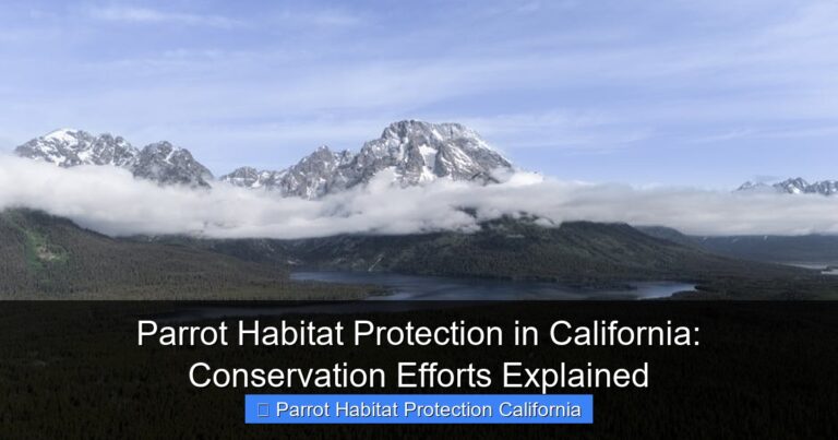 Parrot Habitat Protection in California: Conservation Efforts Explained ...