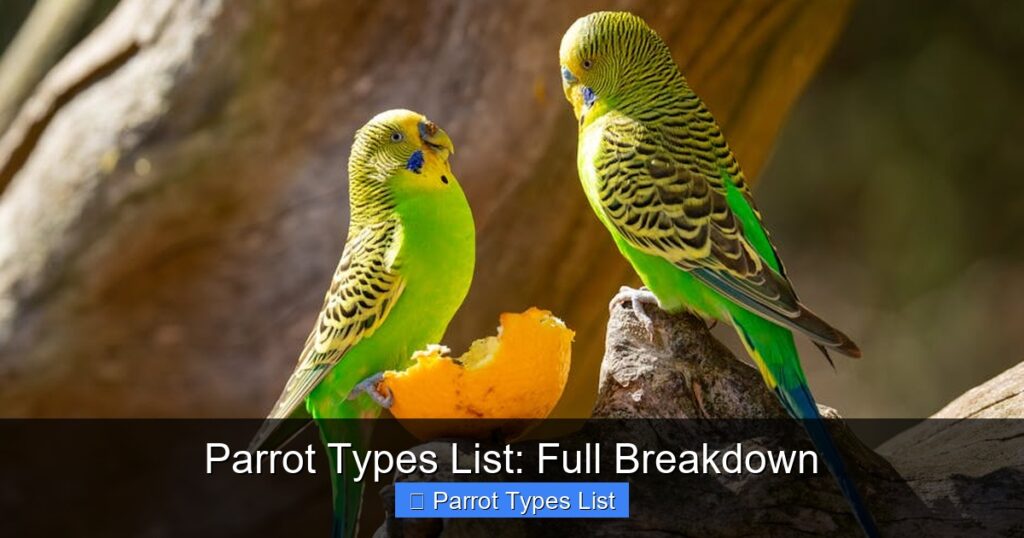 Parrot Types List: Full Breakdown - californiaflocks.org