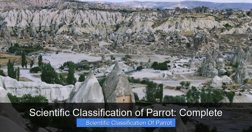 Scientific Classification of Parrot: Complete - californiaflocks.org