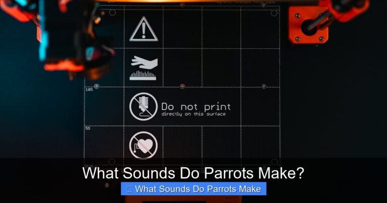 What Sounds Do Parrots Make? - californiaflocks.org