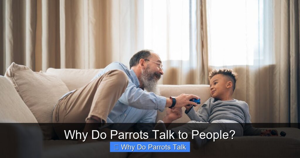Why Do Parrots Talk to People? - californiaflocks.org